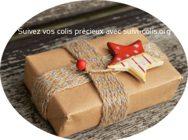 Suivi Colis : aide et conseils pour suivre l'expédition d'un colis